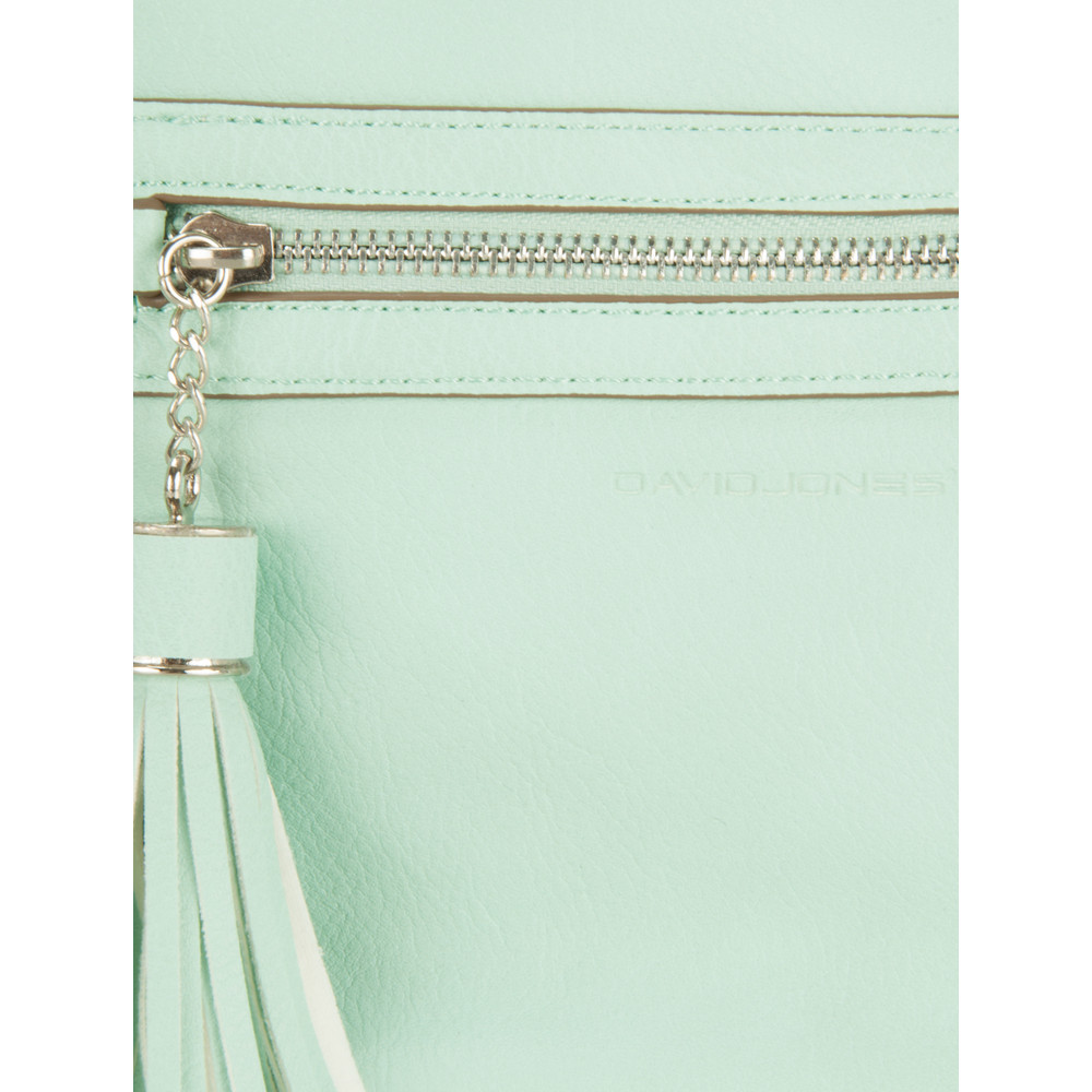 David Jones Cross Body Bag in Mint