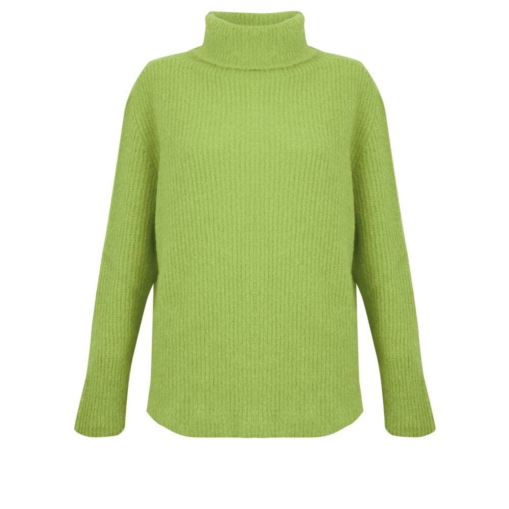 Amazing Woman Carla E Cosy Knit Ribbed Polo Neck in Pea Green